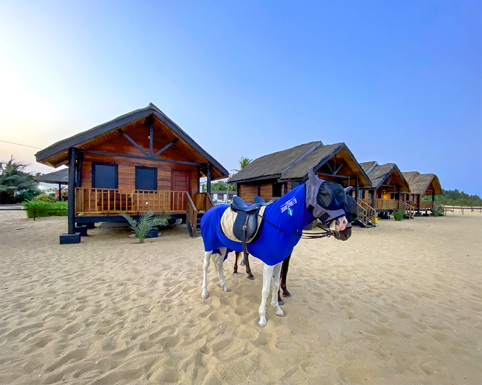 Eli Boutique and Beach Resort